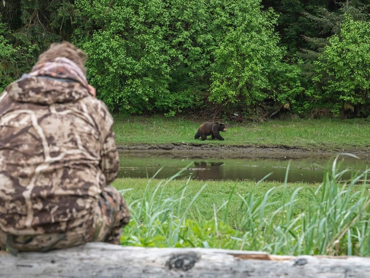 The Ultimate Juneau Bear Viewing – Waterfall & Pack Creeks!