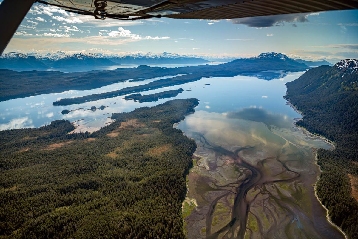 Where to See Bears in Juneau (2026 Local Guide Update)